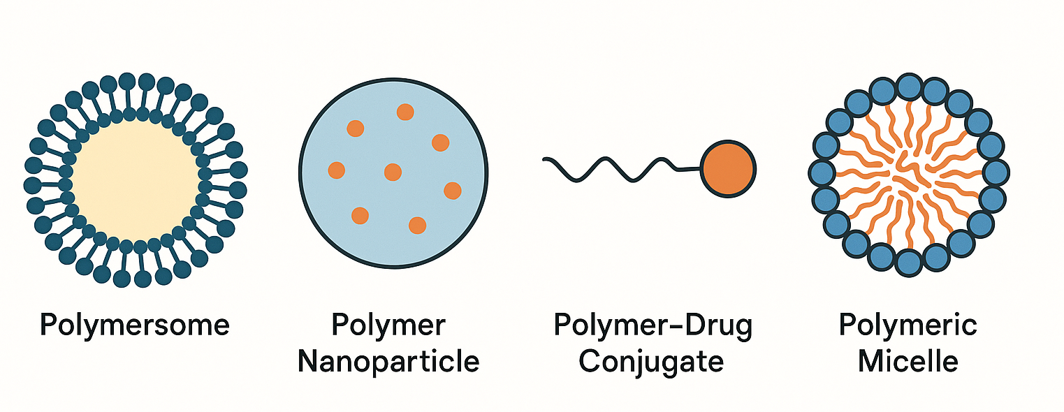 From Chemistry to Cure: The Rise of Polymer Therapeutics